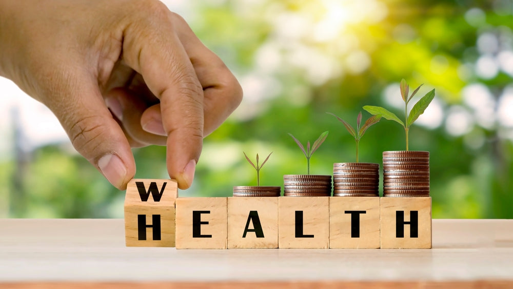 Health is Wealth: What Is It and Why Should We Be Concerned – Jestik, Inc.